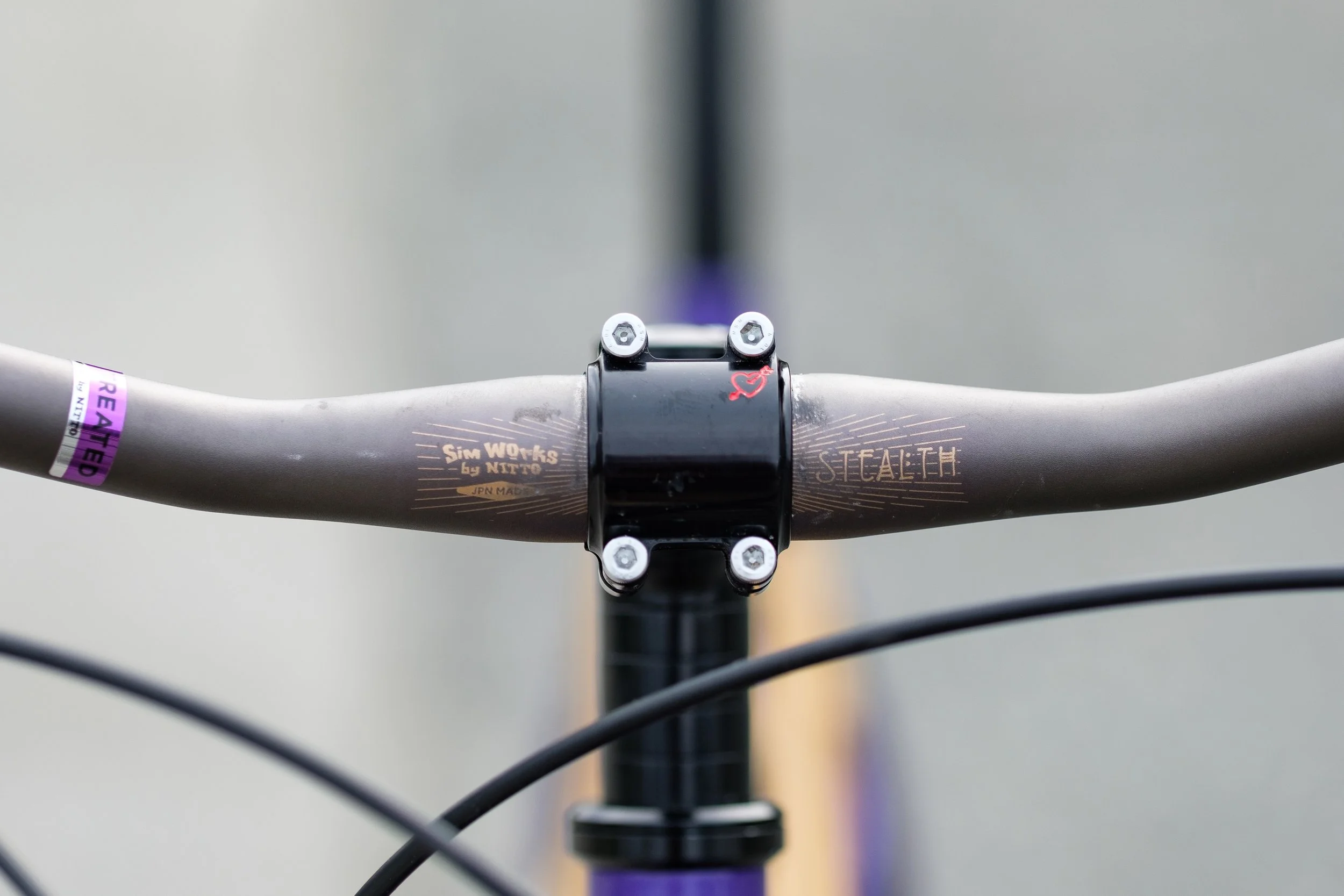 Bassi Hog's Back - Bikepacking.com Review Edition (58cm) — Kissing ...