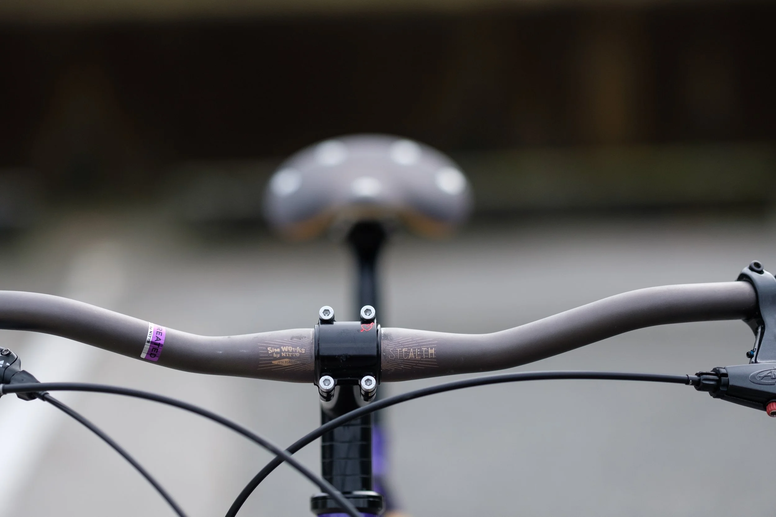 Bassi Hog's Back - Bikepacking.com Review Edition (58cm) — Kissing ...