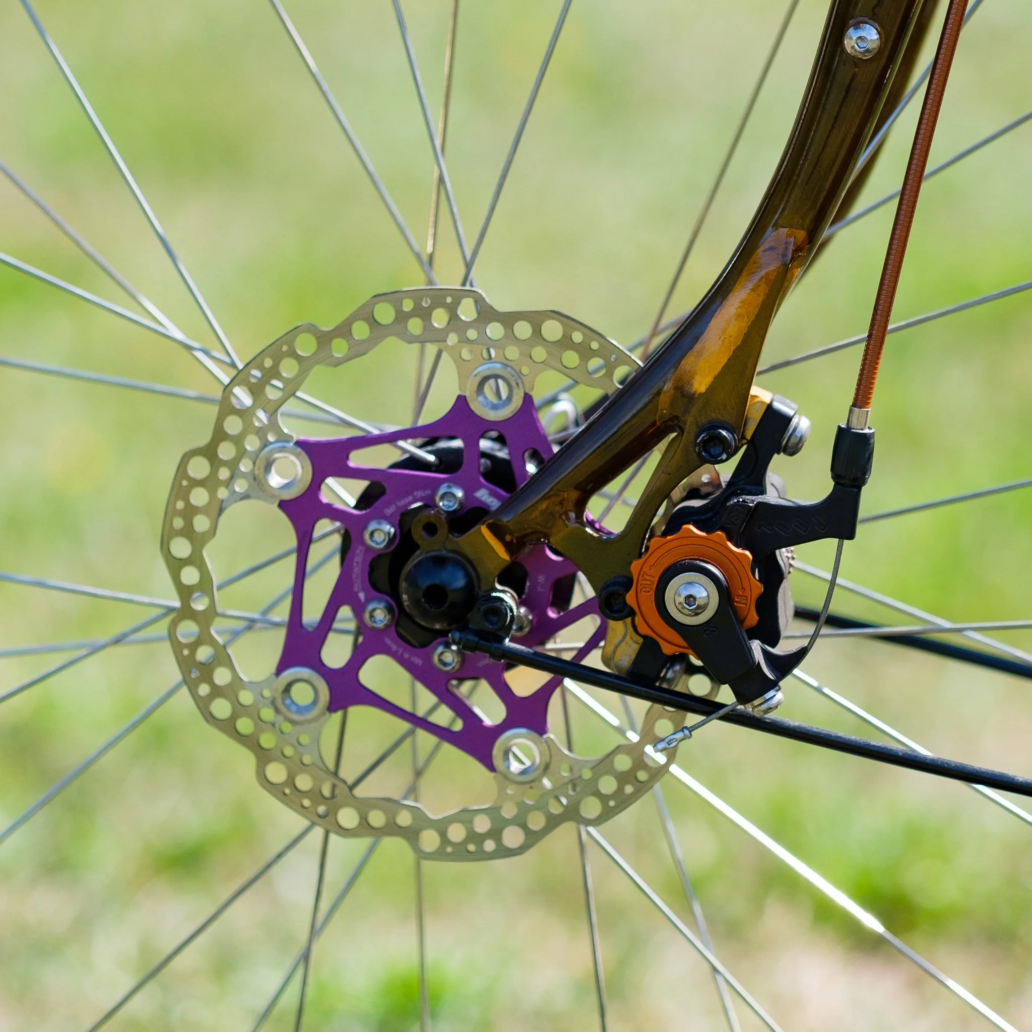 Ari's Crust Lightning Bolt (M) — Kissing Crows Cyclery