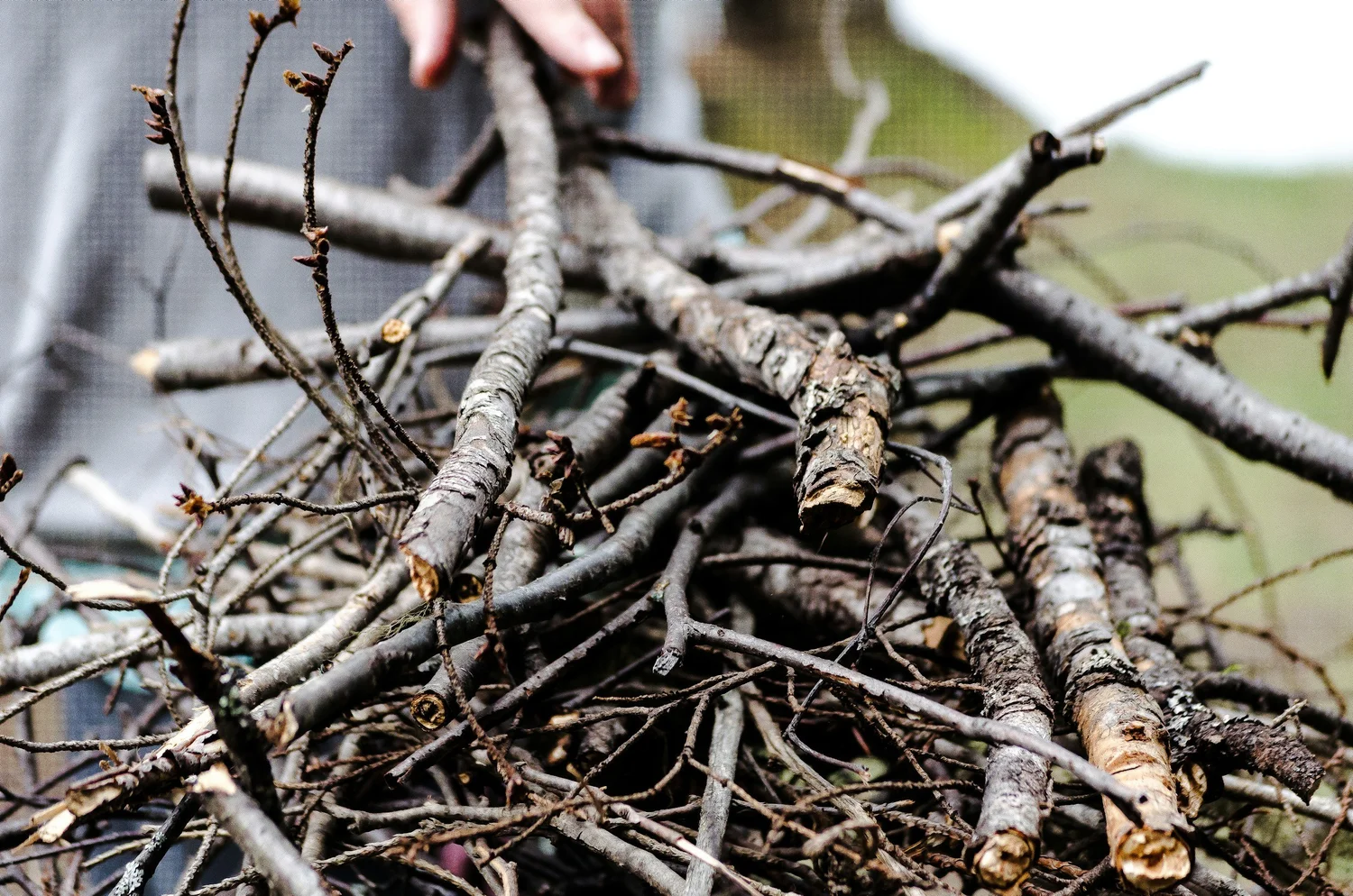 Building the Perfect Campfire: A Step-by-Step Guide — Basecamp Brooklyn