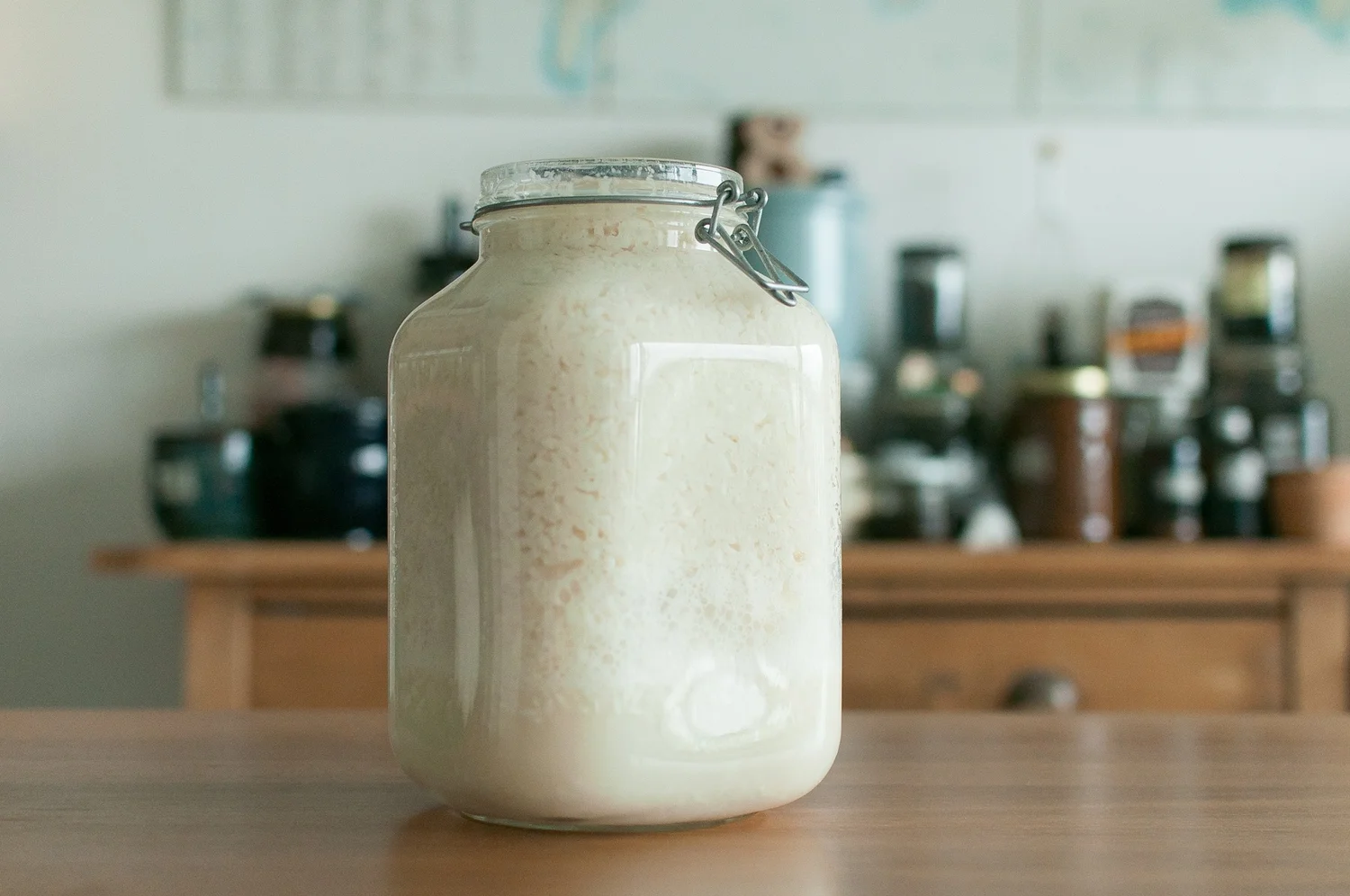 Classes | Koji & Japanese Fermentation Classes | Learn Miso, Doburoku ...