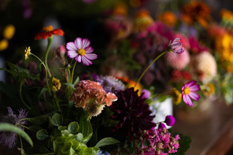 Of The Earth - Floral Design