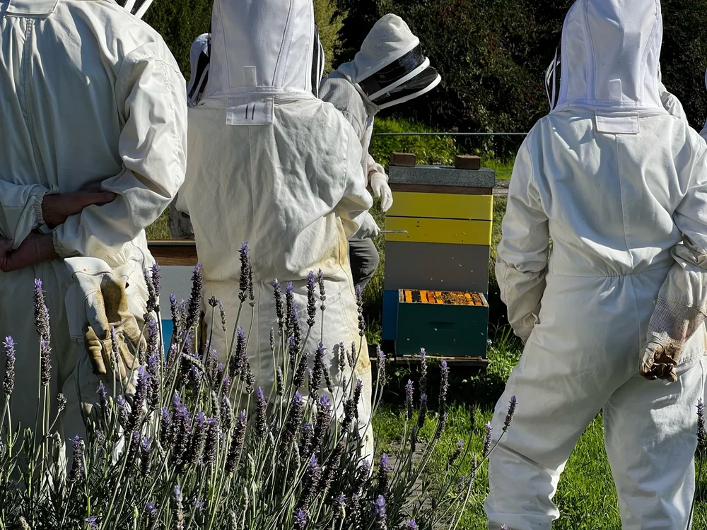 Rotorua Honey Bee Club