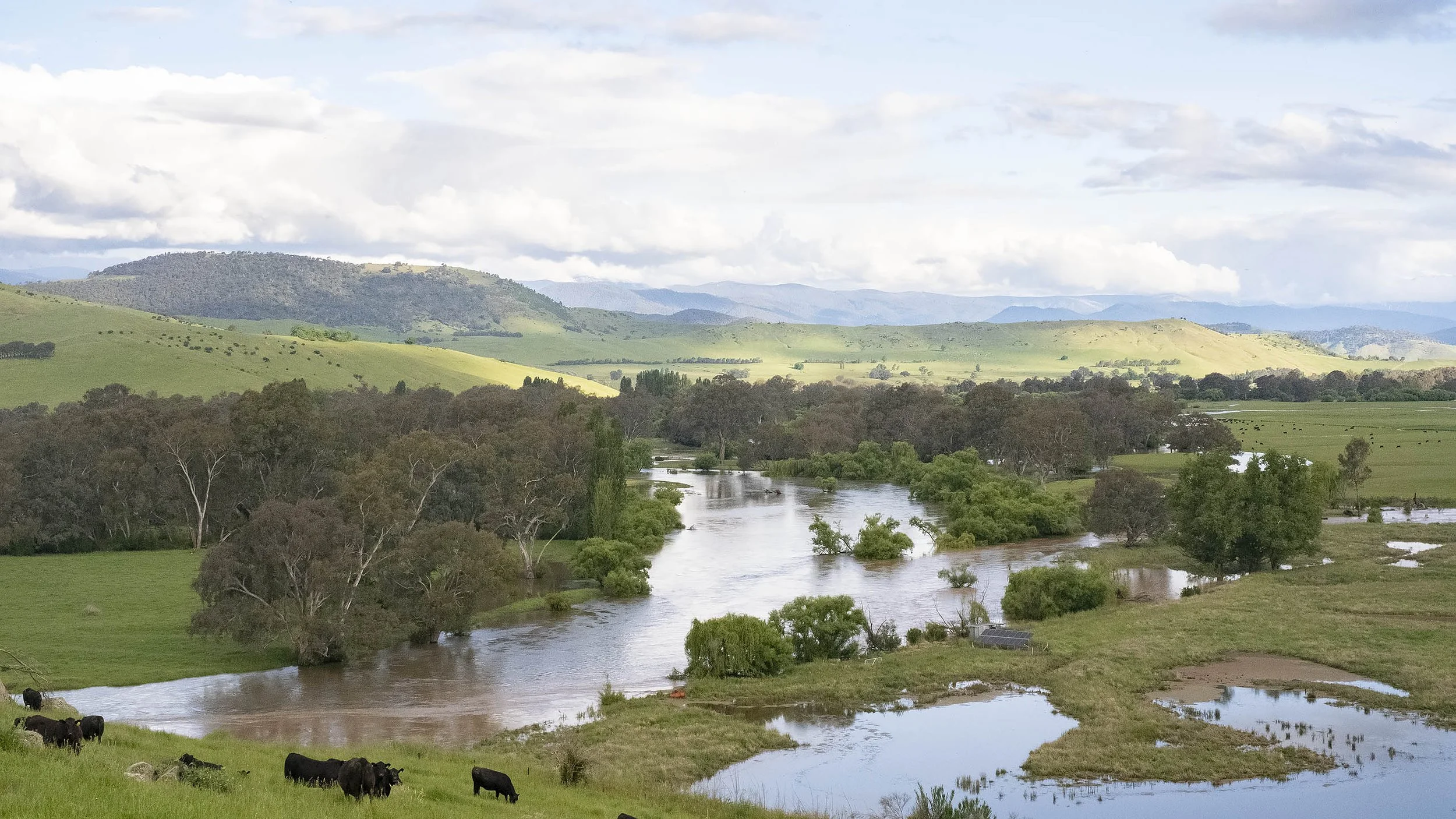 Upper Murray Local Development Strategy — Upper Murray Inc