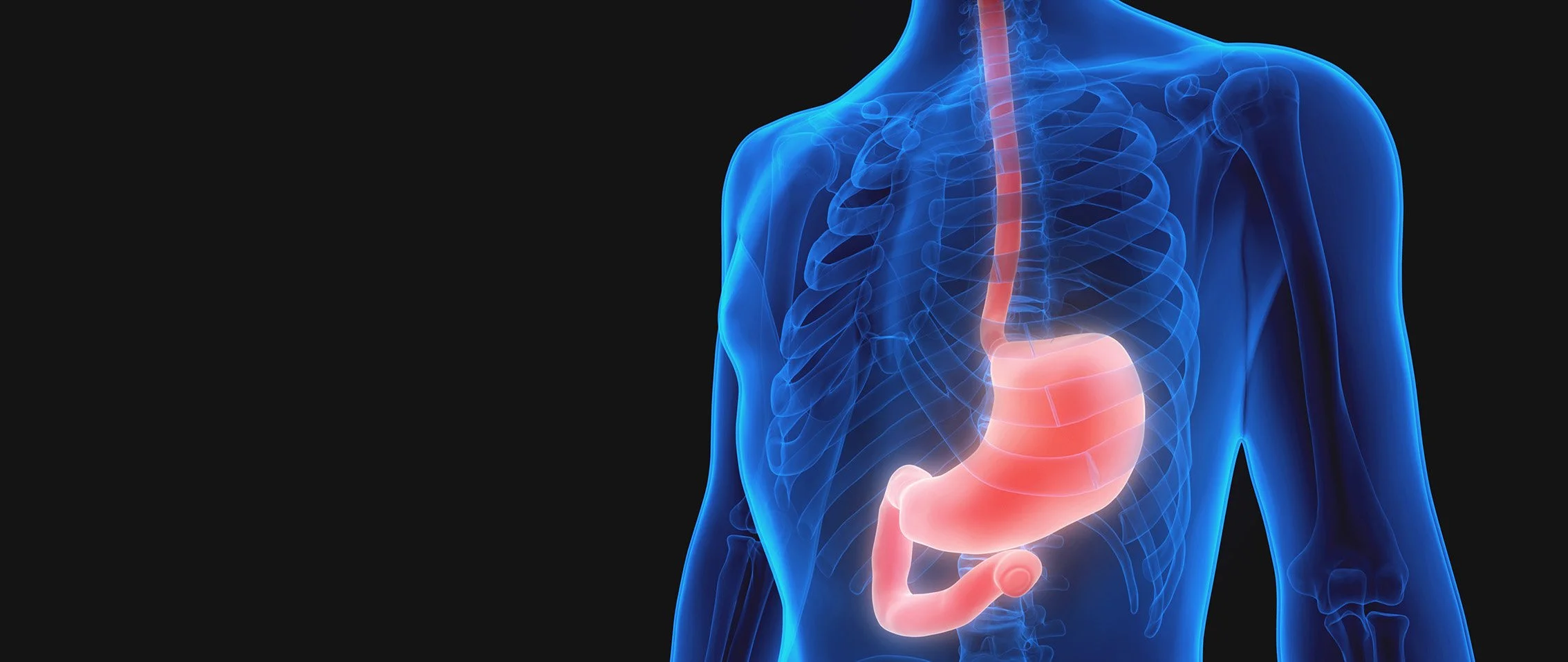 Dr Roy Hopkins Upper GI & Bariatric Surgeon | Sydney Upper GI ...