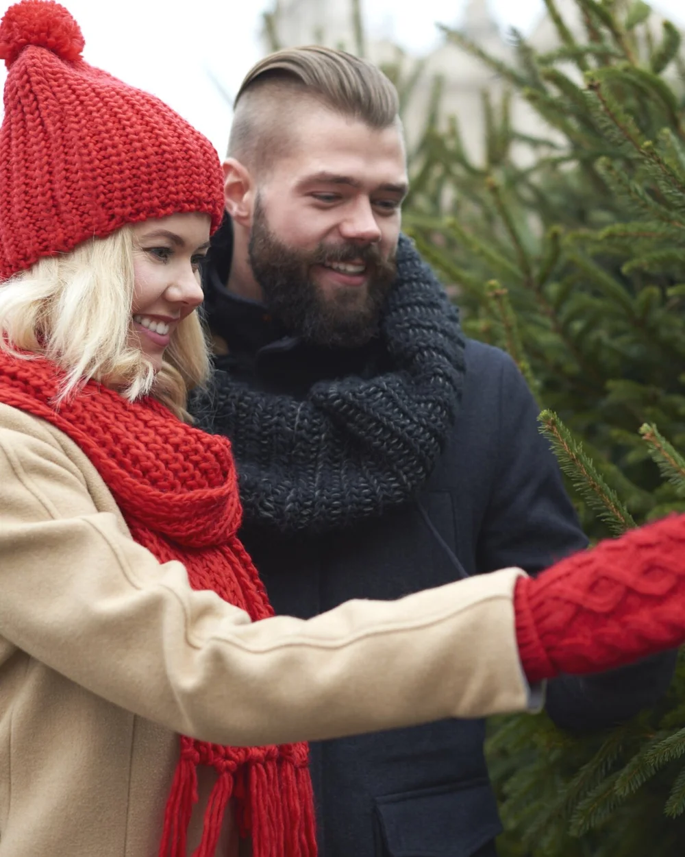 Gubser Tree Farm