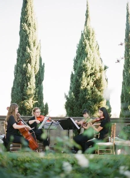 Wedding Ceremony and Cocktail Hour String Quartet Packages — Subito Strings