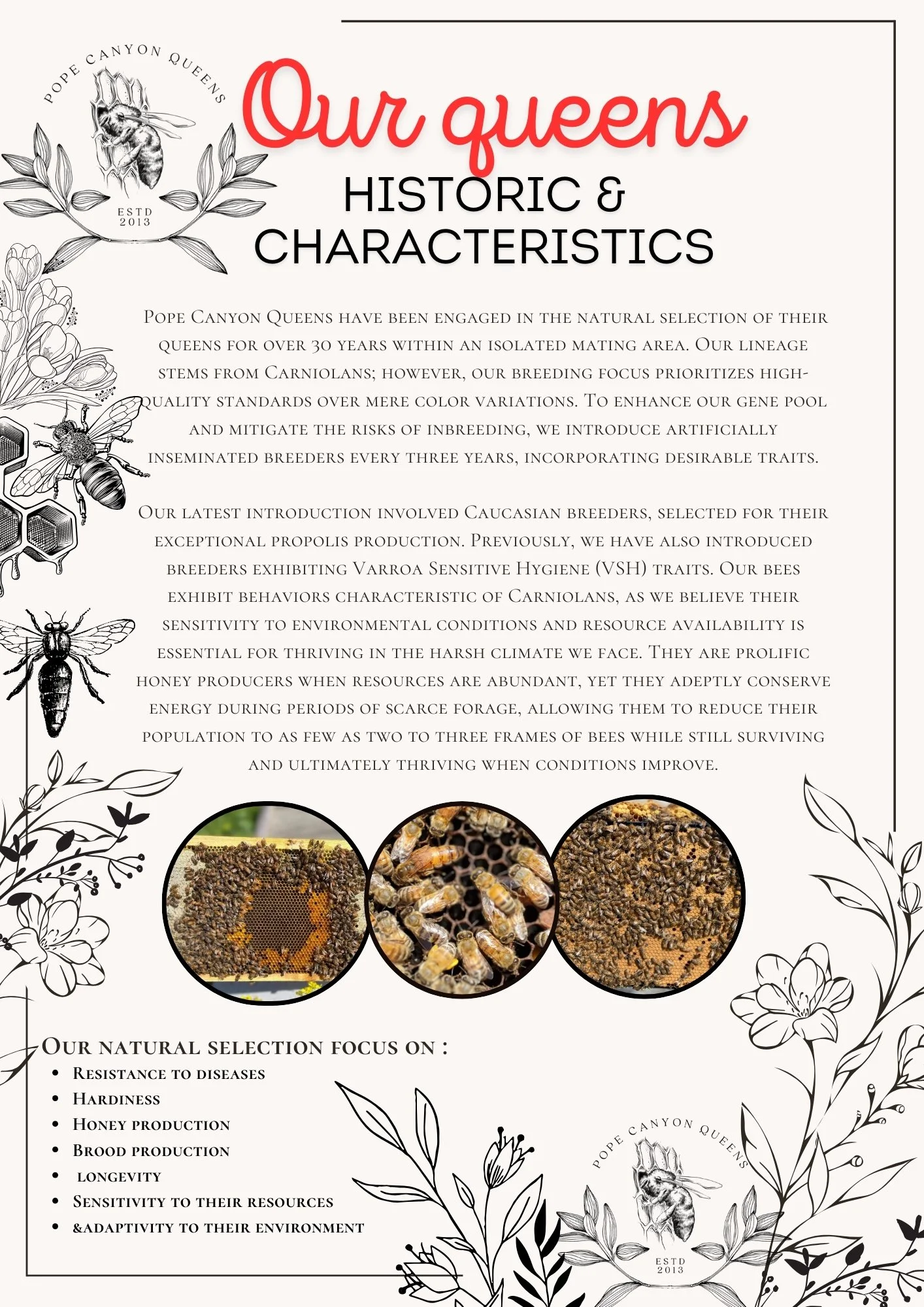 Queen Breeding Program — POPE CANYON QUEENS LLC