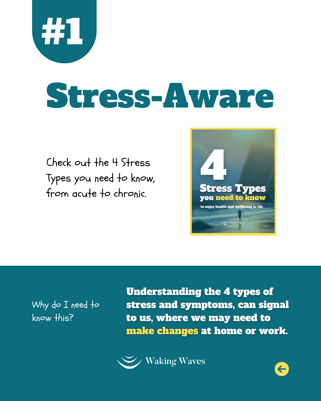 In the zone? Know your Optimal Stress levels for Performance — Waking Waves