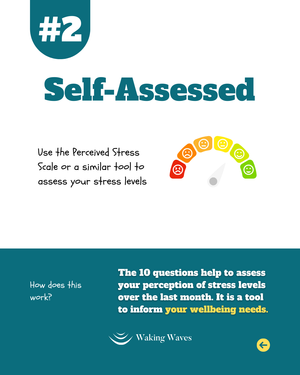 In the zone? Know your Optimal Stress levels for Performance — Waking Waves