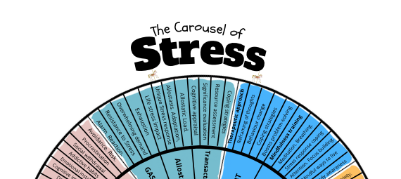 Reveal 95 eye-catching insights on the Carousel of Stress 🎠 — Waking Waves