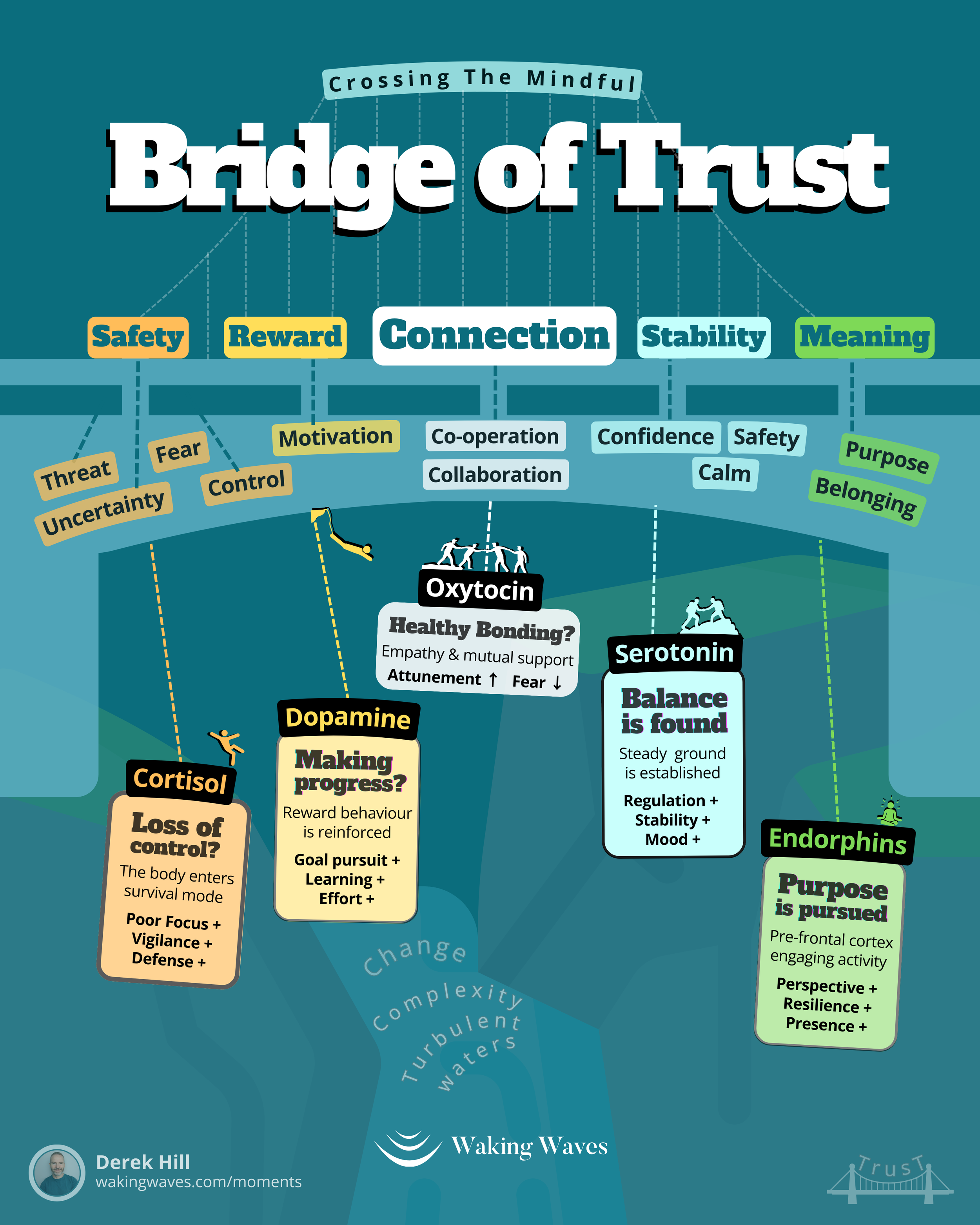 Neuroscience of Trust in Mindful Leadership | Waking Waves — Waking Waves