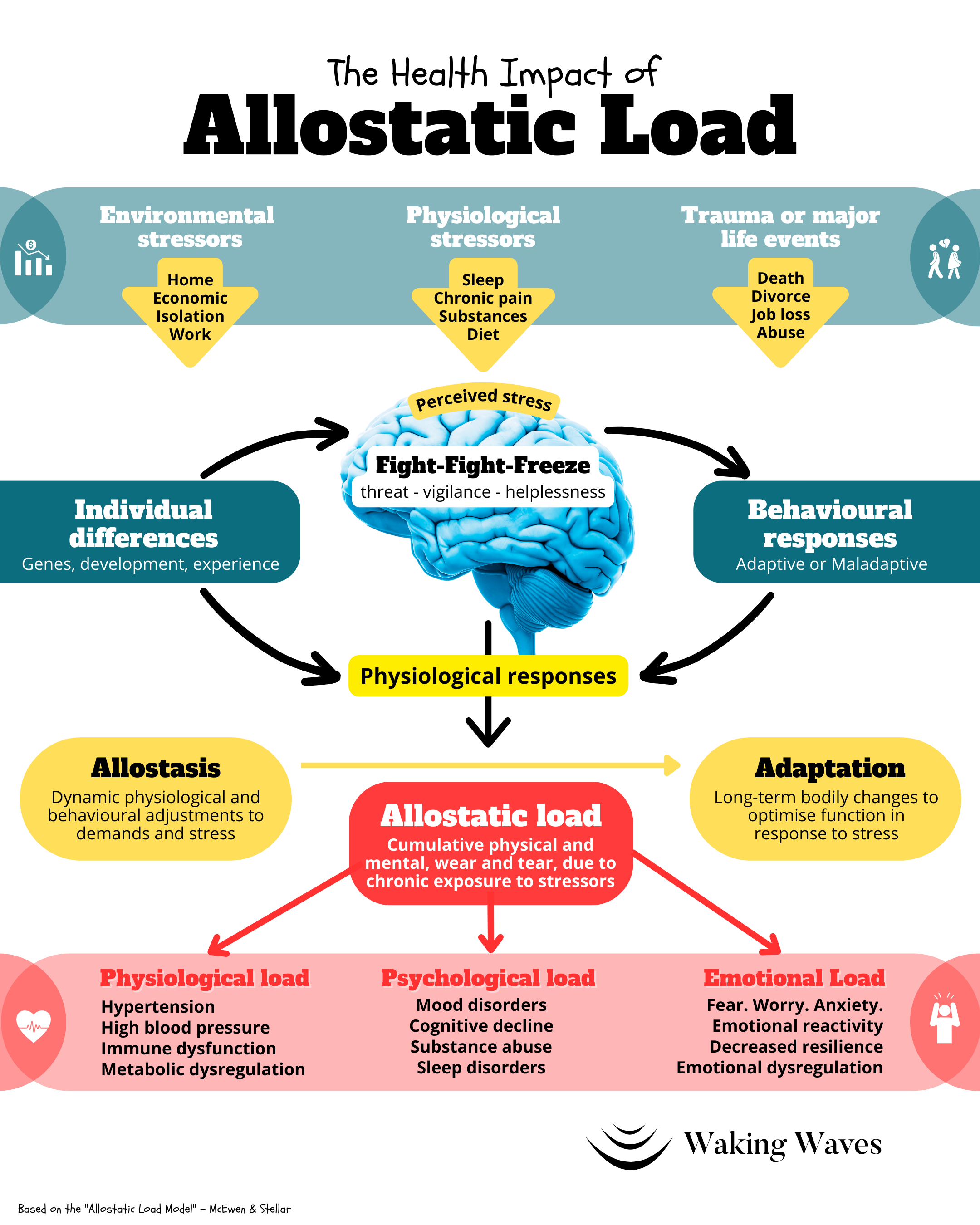 Understanding Chronic Stress Impact of Allostatic Load — Waking Waves Understanding Chronic Stress Impact of Allostatic Load — Waking Waves