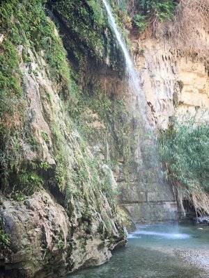 Finding Peace in Ein Gedi — QUIETLY