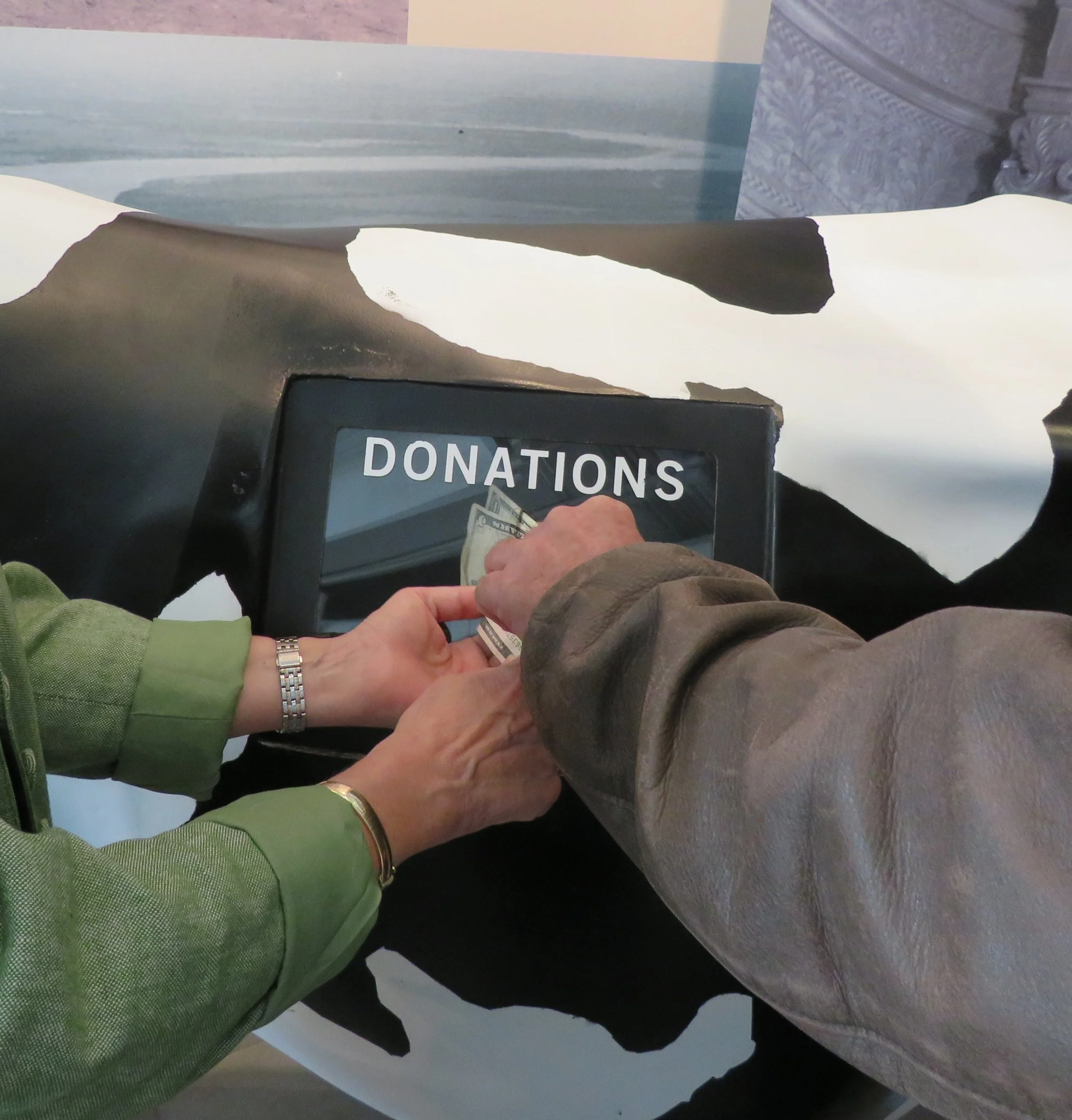 Volunteer — Sioux City Public Museum
