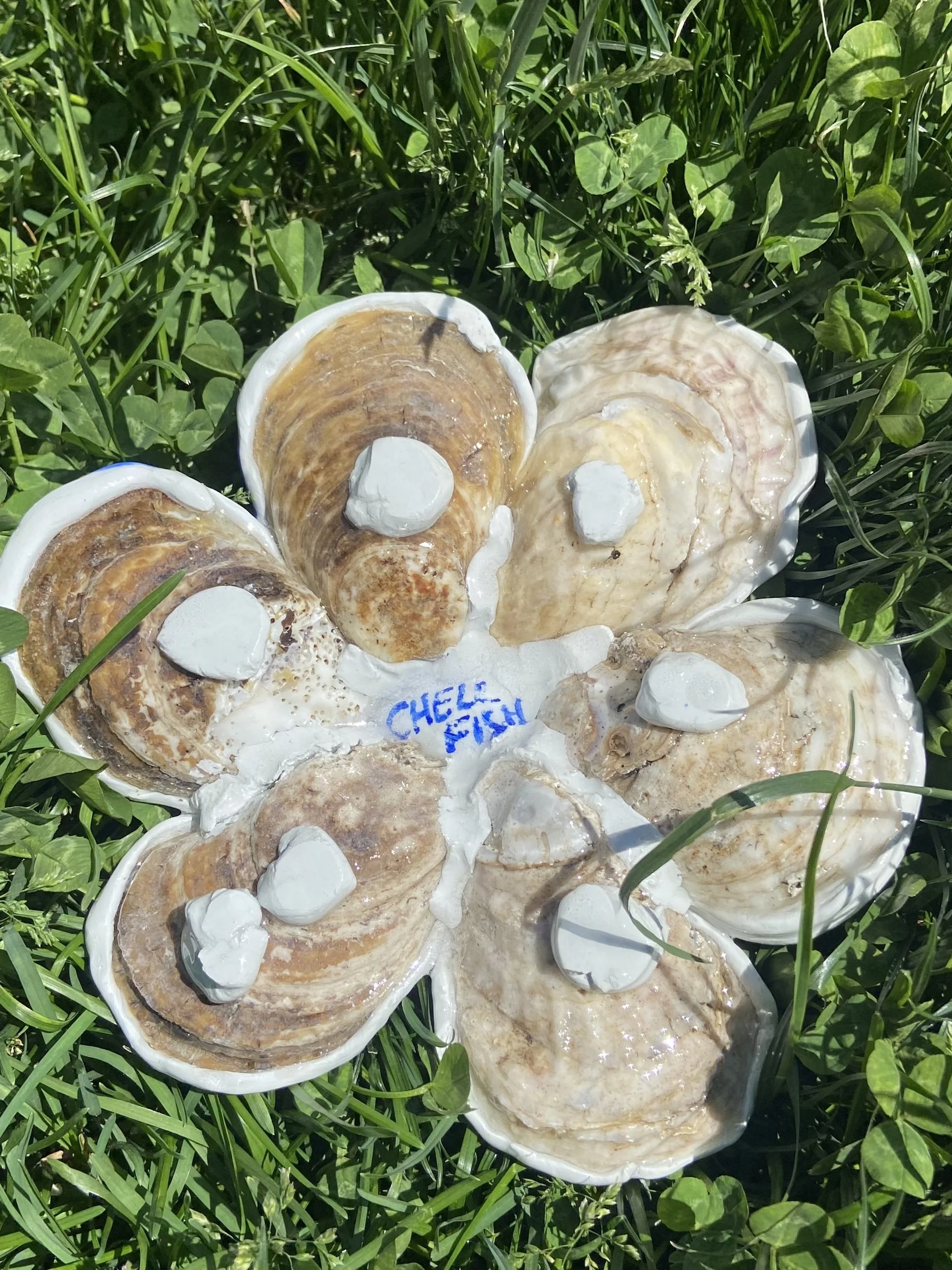 Mosaic Plate Drop — Chell Fish