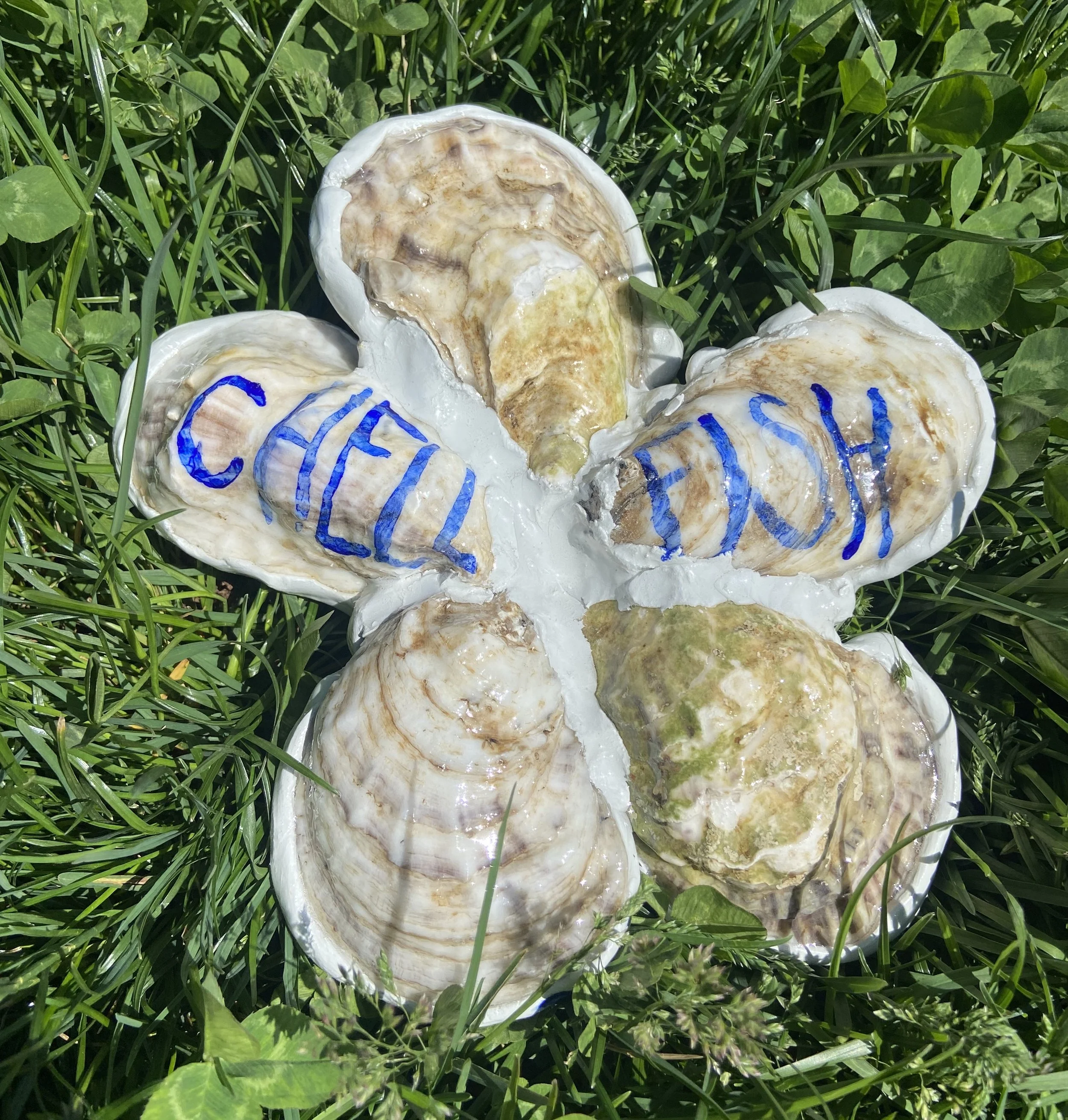 Mosaic Plate Drop — Chell Fish