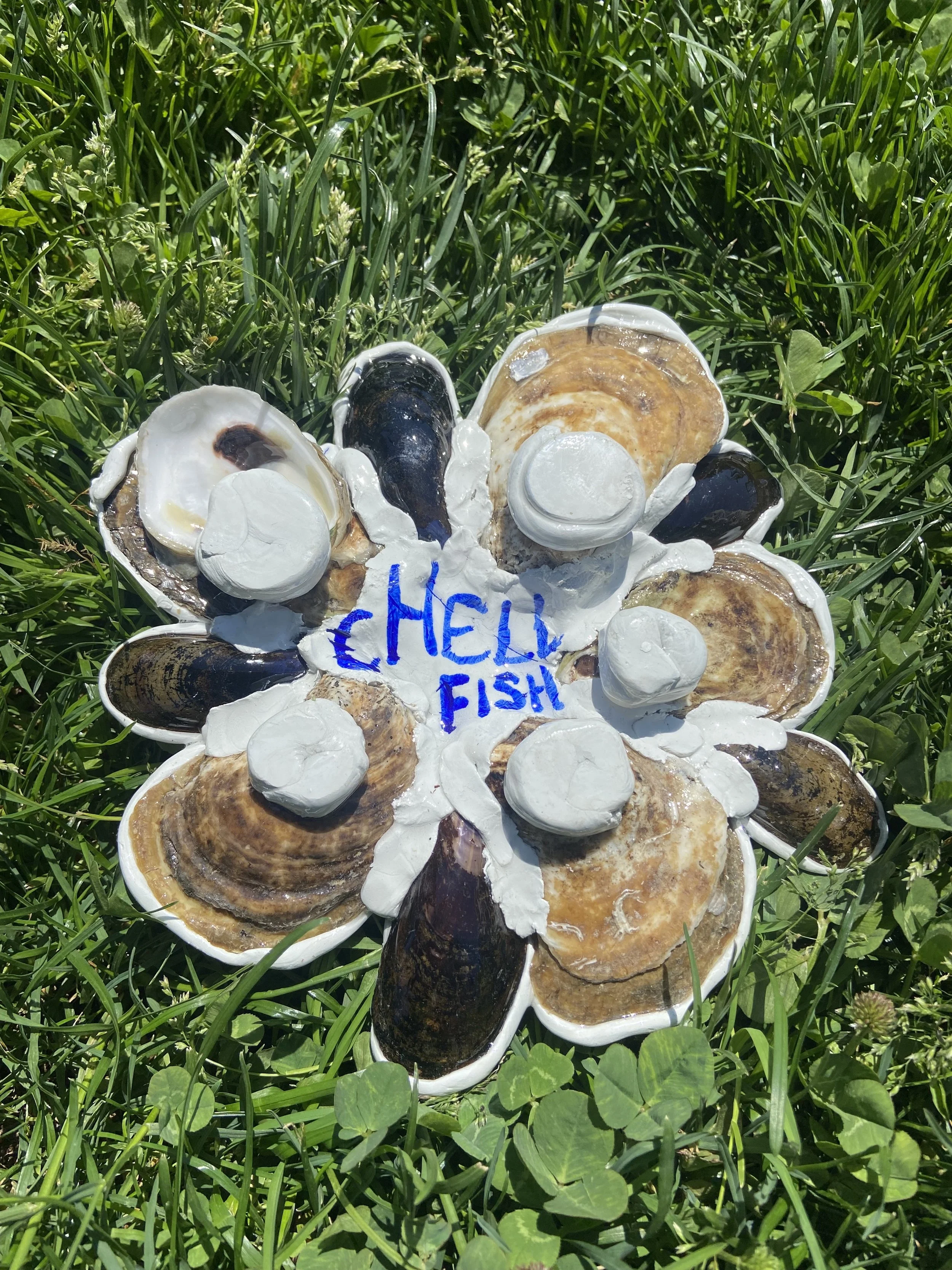 Mosaic Plate Drop — Chell Fish