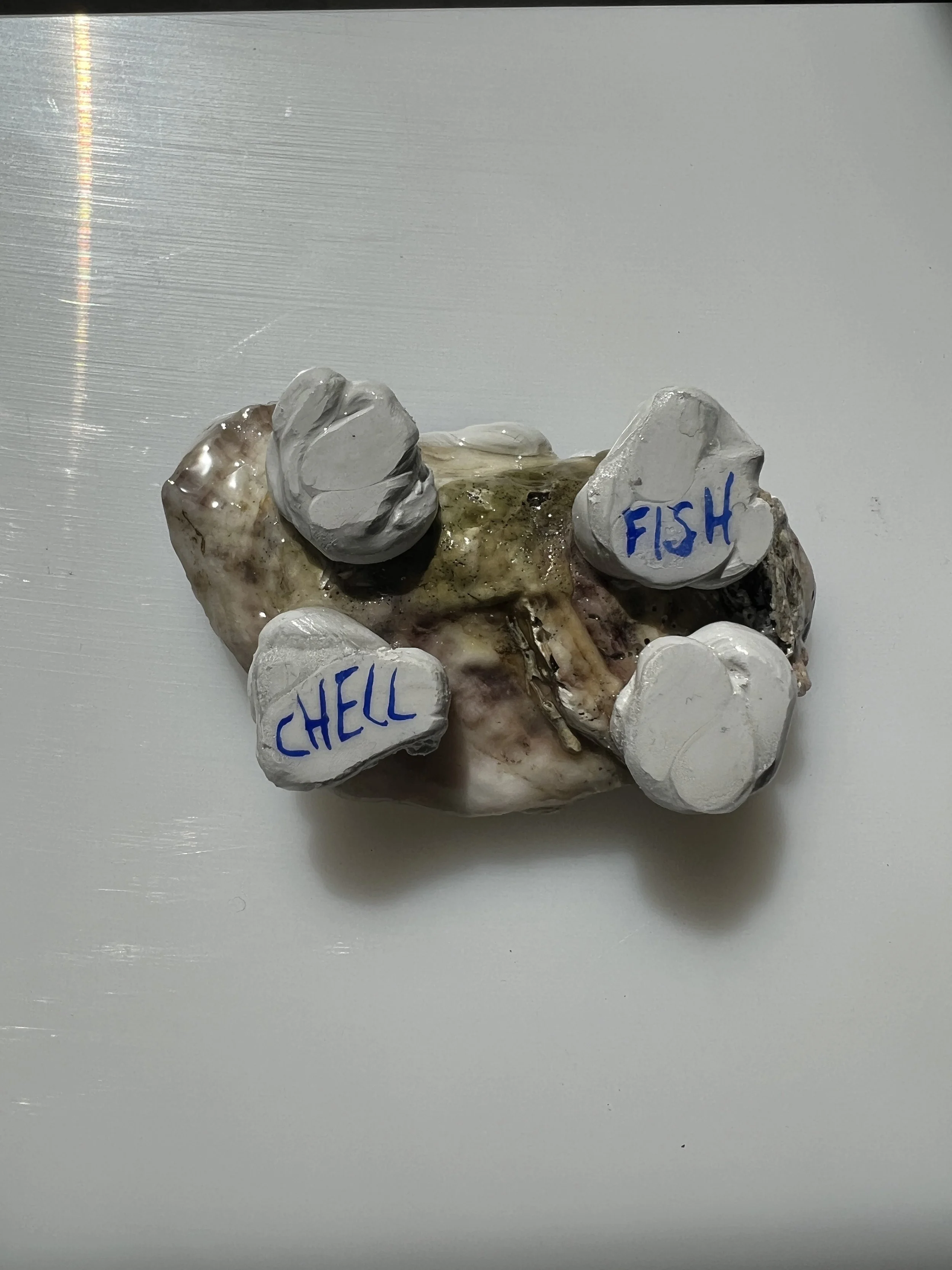 Available Work — Chell Fish