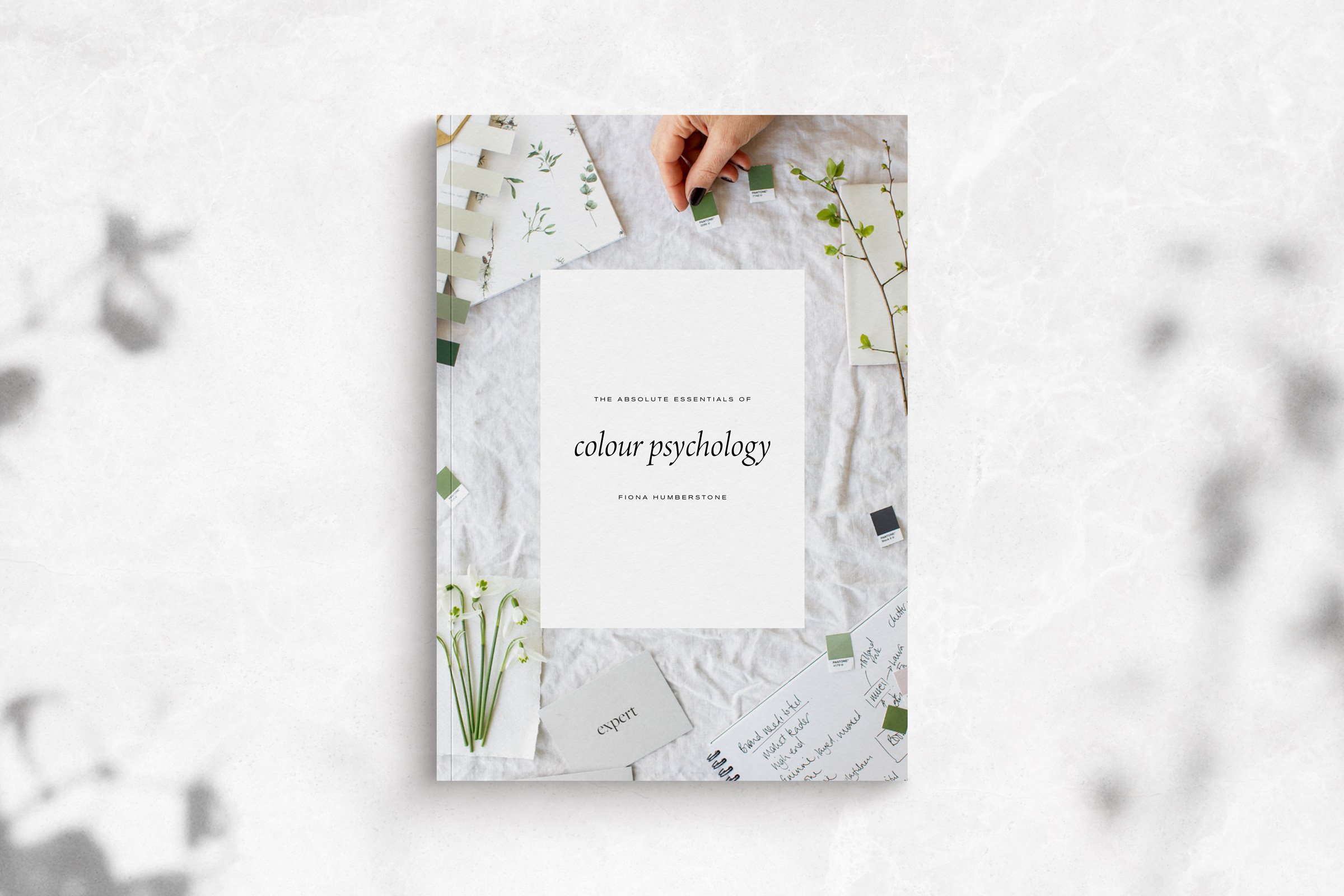 Introducing The Absolute Essentials of Colour Psychology for branding ...