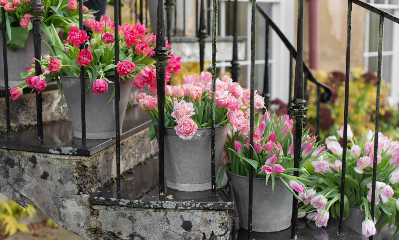 a delightful brand photography shoot for a British flower grower | The ...