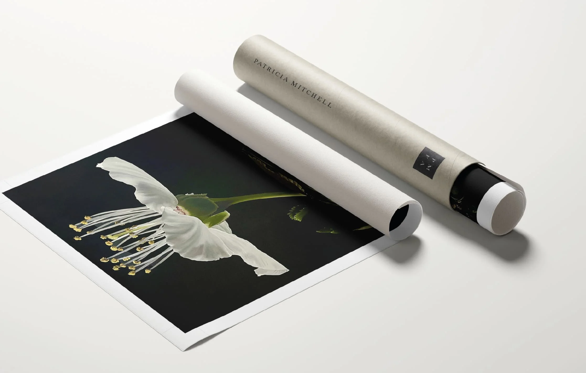 rebranding fine artist, trish mitchell | The Brand Stylist
