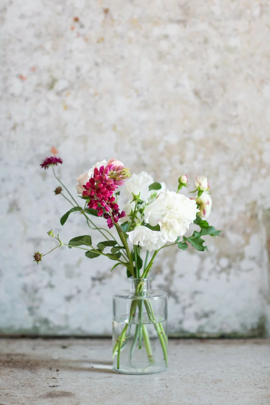 a story of seasonality at a British flower farm | The Brand Stylist