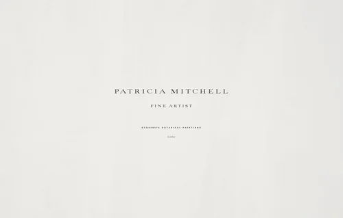 rebranding fine artist, trish mitchell | The Brand Stylist