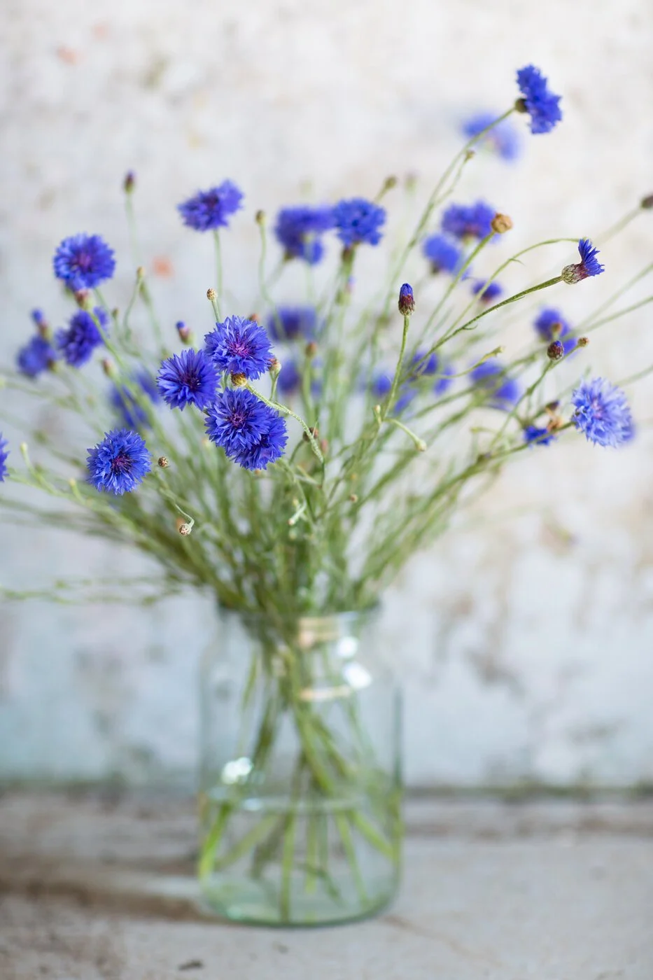 a story of seasonality at a British flower farm | The Brand Stylist