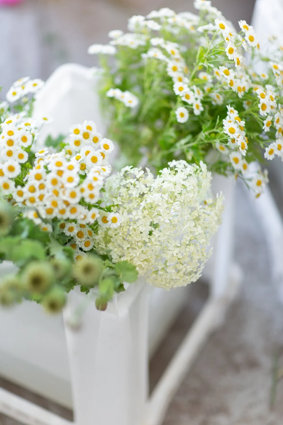 a story of seasonality at a British flower farm | The Brand Stylist