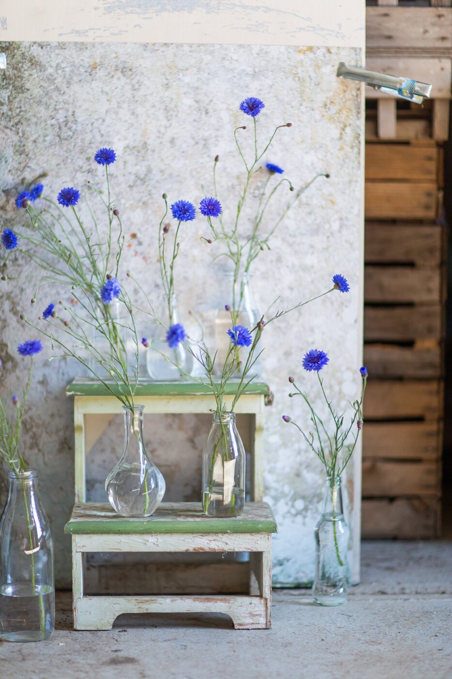 a story of seasonality at a British flower farm | The Brand Stylist