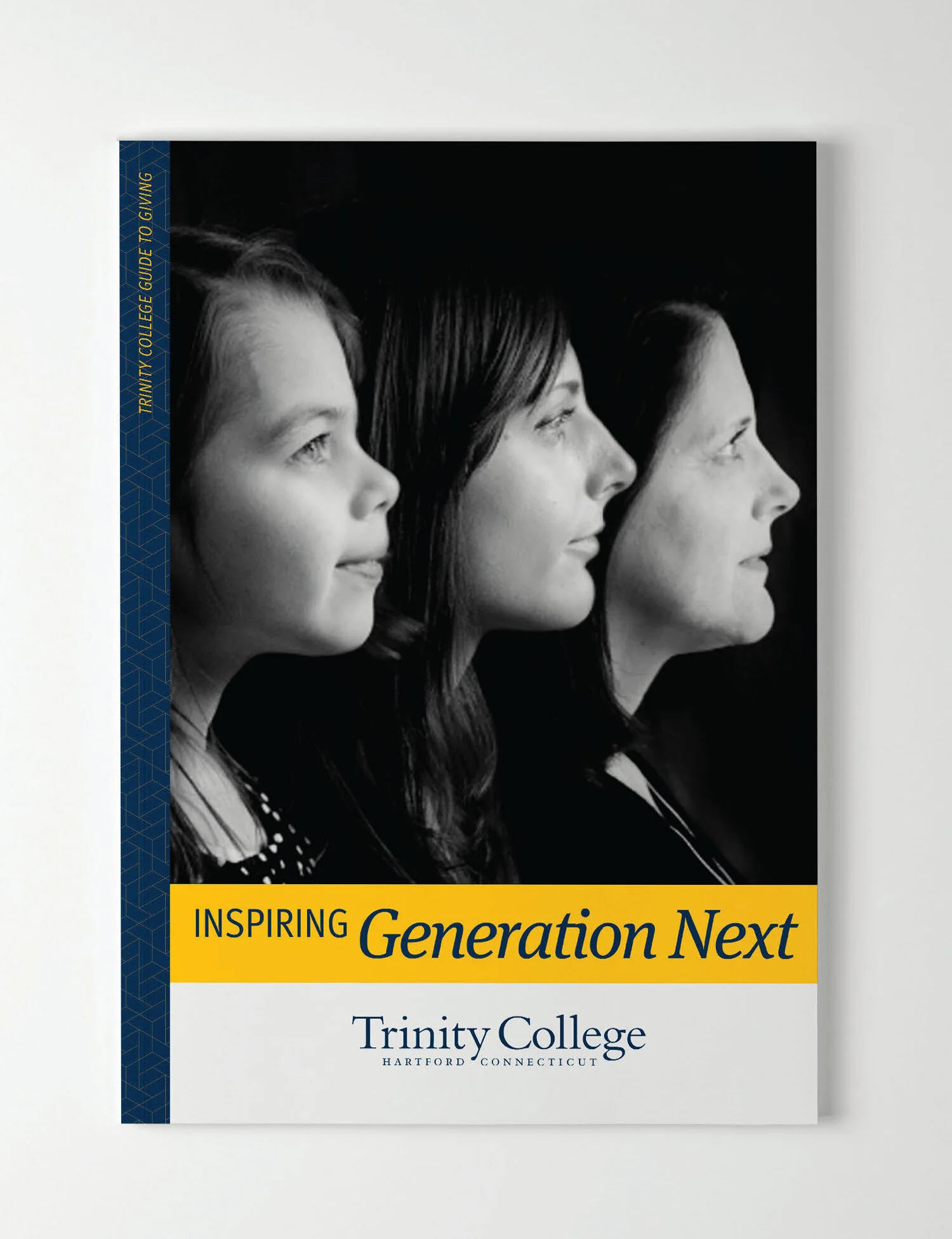 Trinity College Brand Guidelines — Frances Yllana Art + Copy