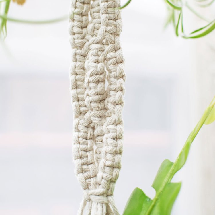 DIY Daisy Chain Macrame Plant Hanger Kit — That Knot Place