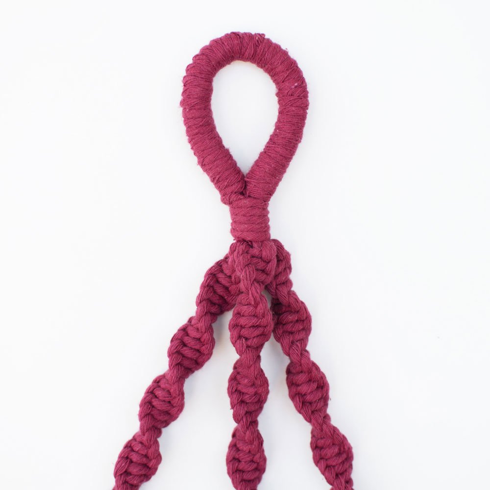 DIY Daisy Chain Macrame Plant Hanger Kit — That Knot Place