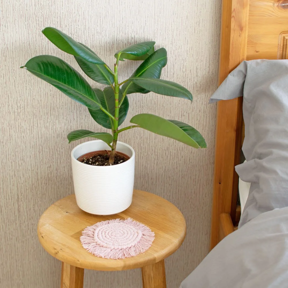 White Macrame Coaster — That Knot Place