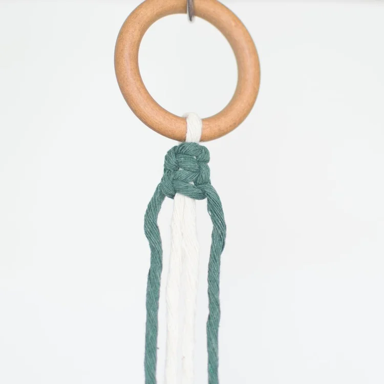 DIY Daisy Chain Macrame Plant Hanger (Tutorial) — That Knot Place