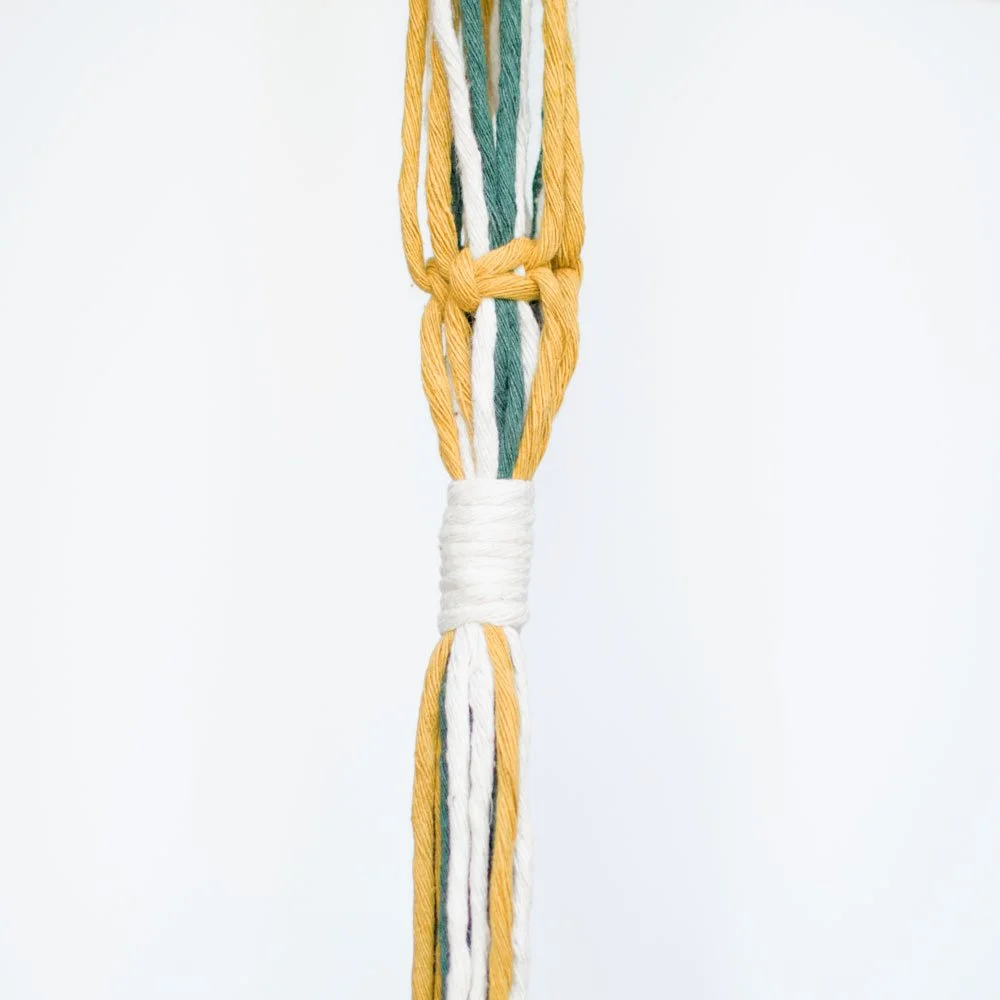 DIY Daisy Chain Macrame Plant Hanger (Tutorial) — That Knot Place