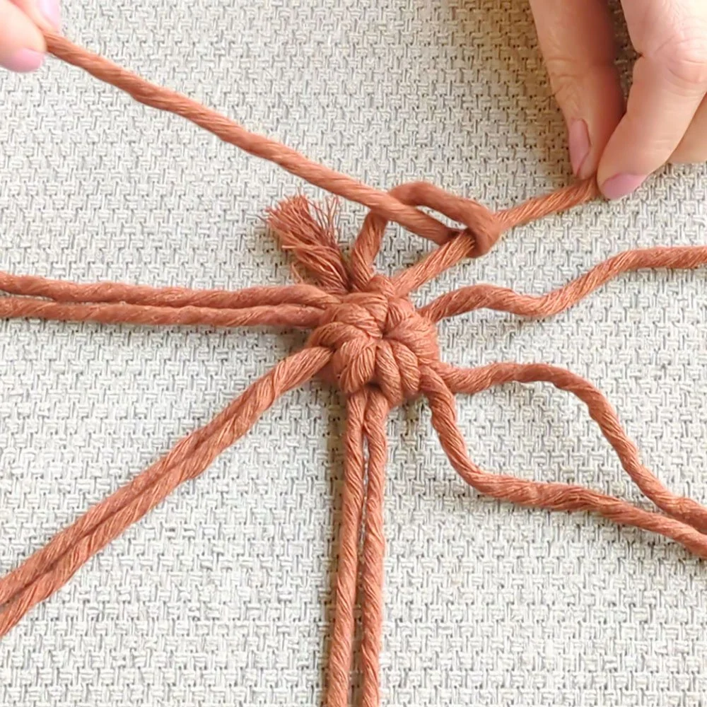 DIY Daisy Chain Macrame Plant Hanger Kit — That Knot Place