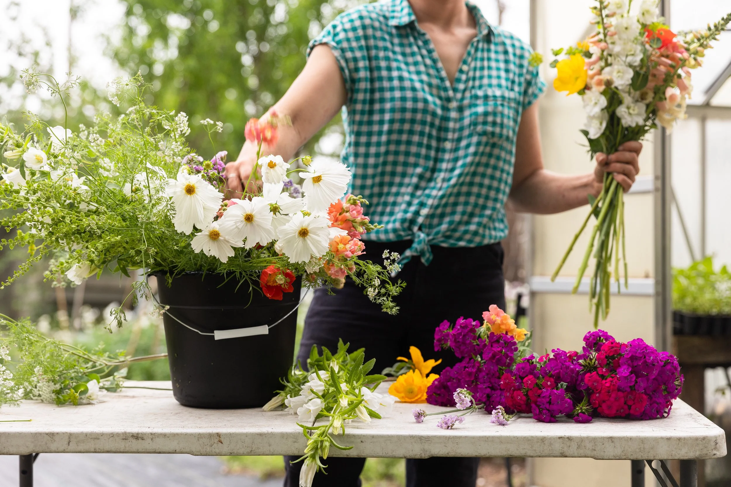 Nightshade Farm & Flowers