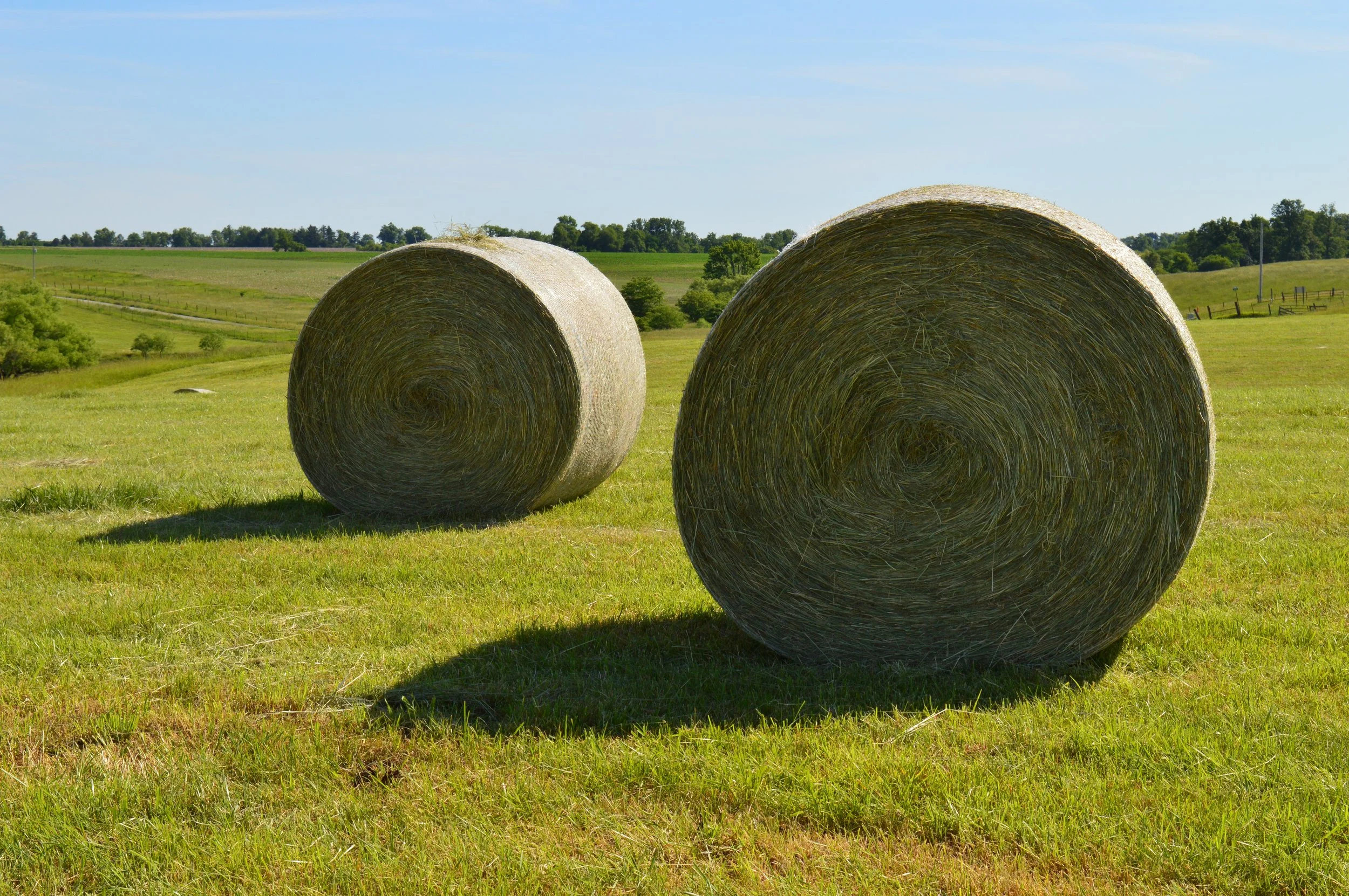 Midwest Grass and Forage