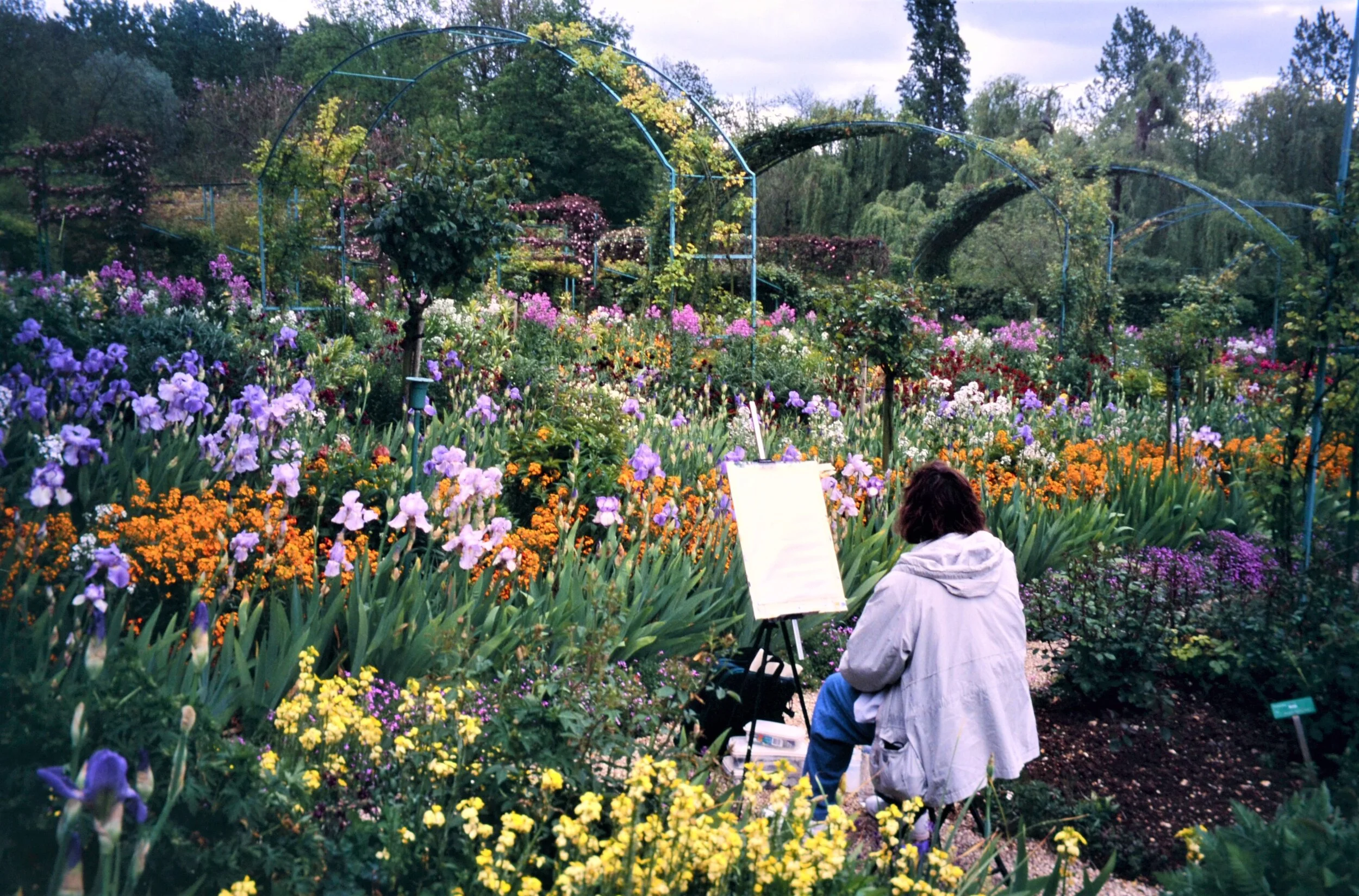 Cello Bennett, Author