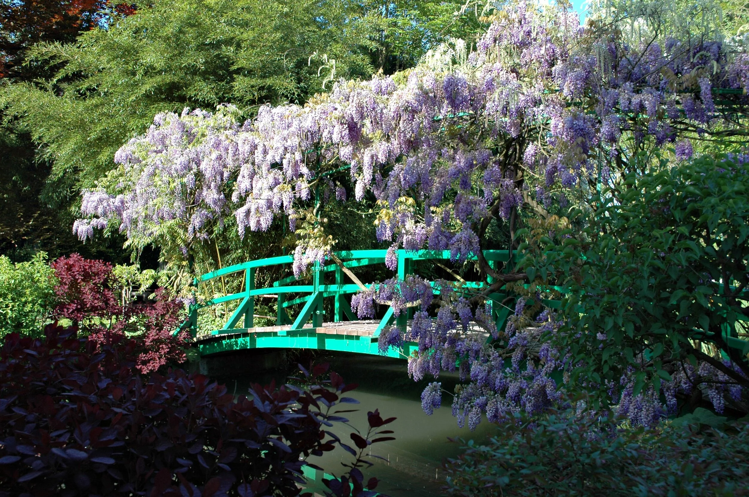 Cello Bennett, Author