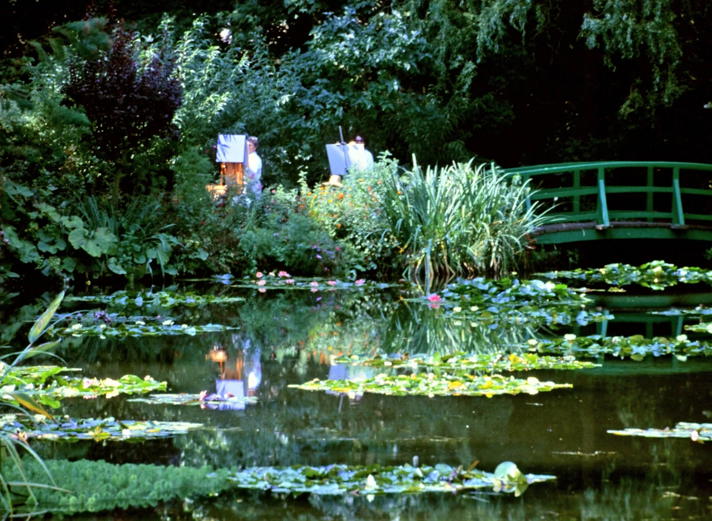 Cello Bennett, Author