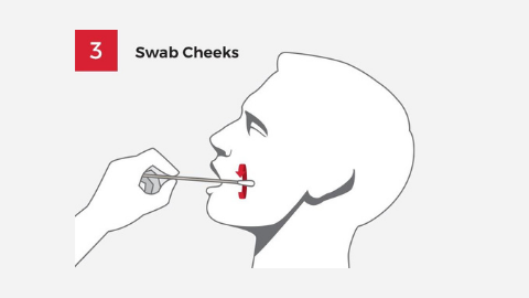 Home DNA Test Instructions: Step-by-Step Buccal Swab Guide