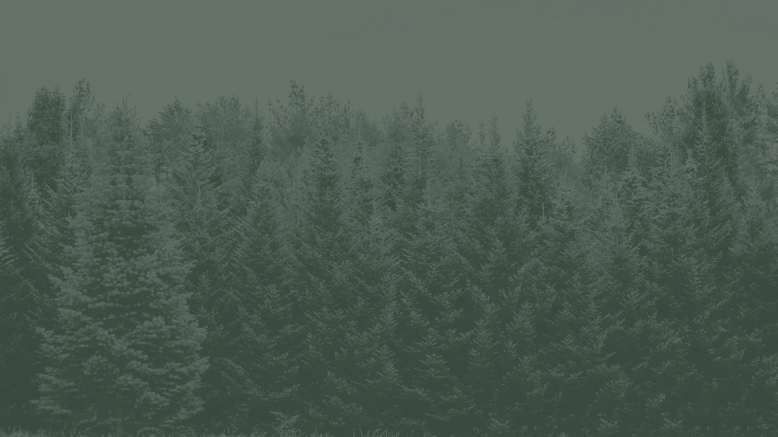 Port & Pine Creative