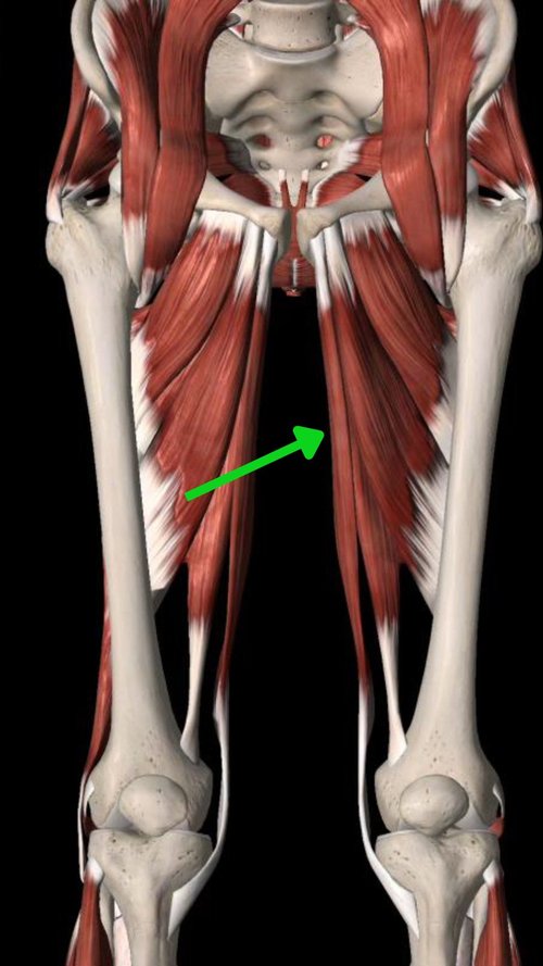 Physical Therapy for Hip Adductor Strain - The Game Plan Physical Therapy