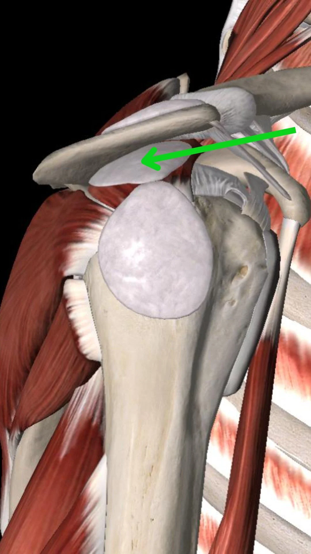 Shoulder Impingement Exercises - The Game Plan Physical Therapy