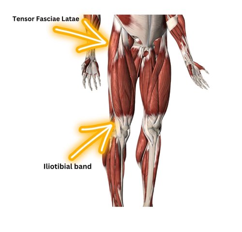 Hip Pain When Running? A Guide for Runners and How Physical Therapy Can ...