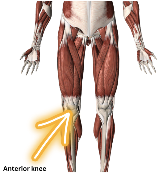 How to Fix Runner's Knee - The Game Plan Physical Therapy