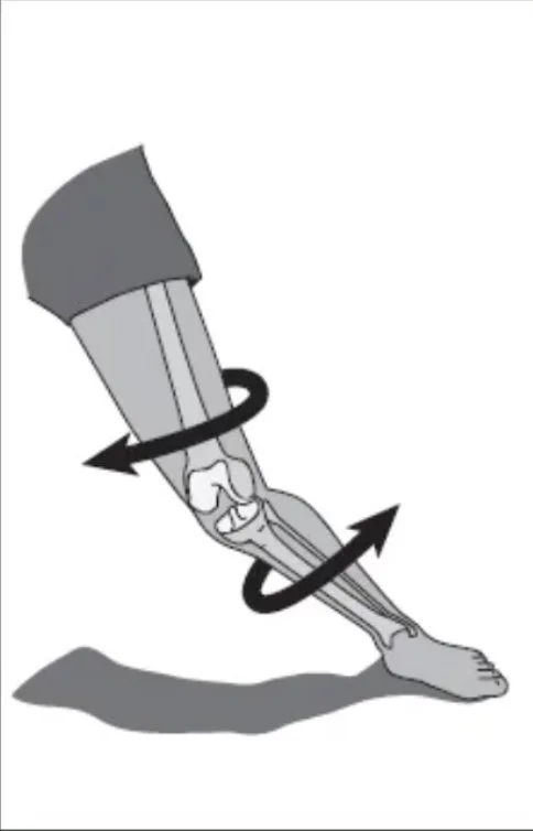 Physical Therapy for Meniscus Tear Injuries - The Game Plan Physical ...